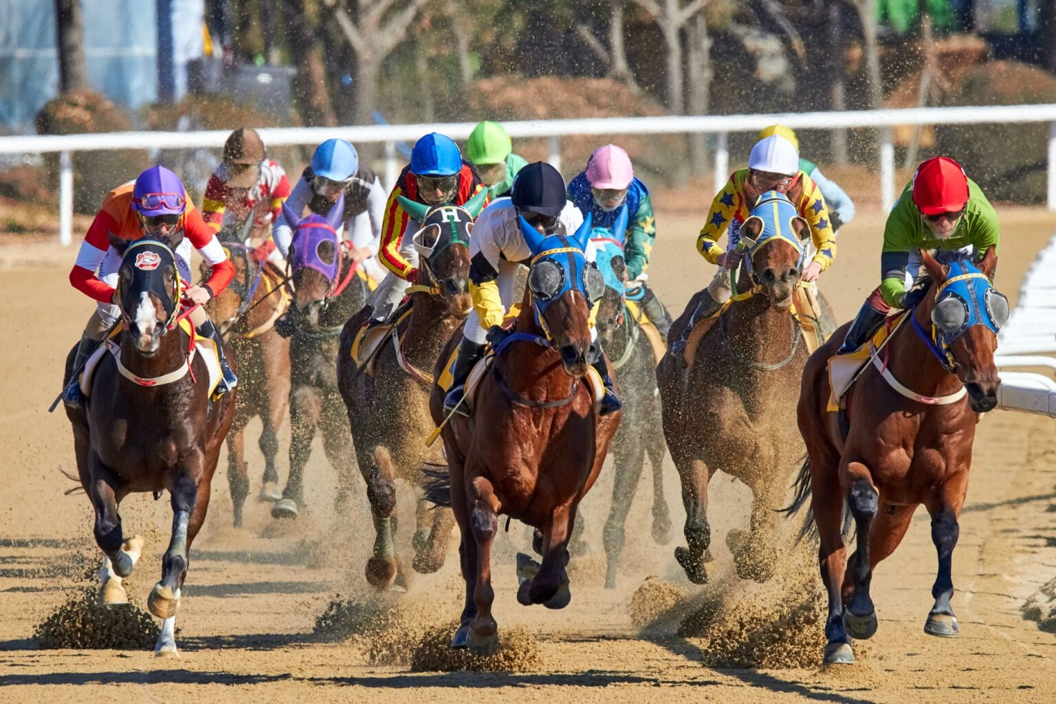 2024 Pennsylvania Derby picks | Advantage Wagering